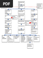 Pigtail Care 25 | PDF | Clinical Medicine