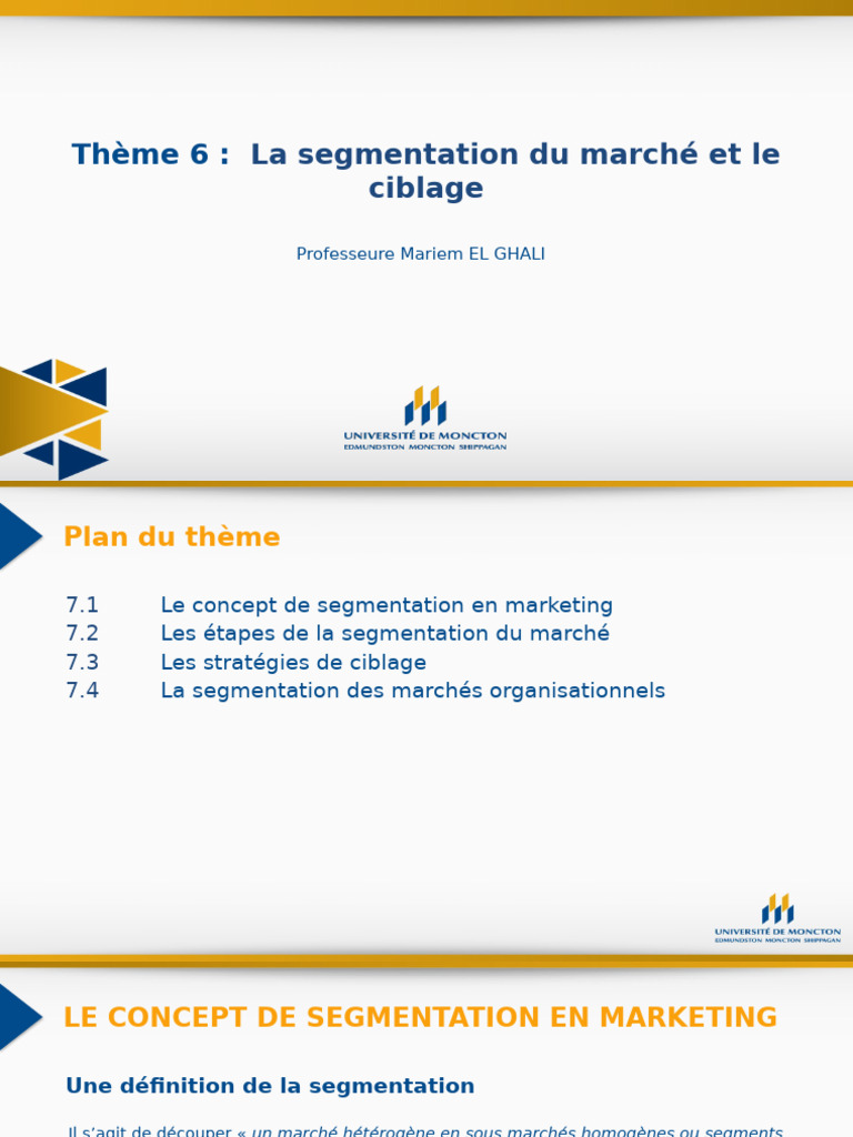 Segmentation du marché et stratégies de ciblage | PDF ...