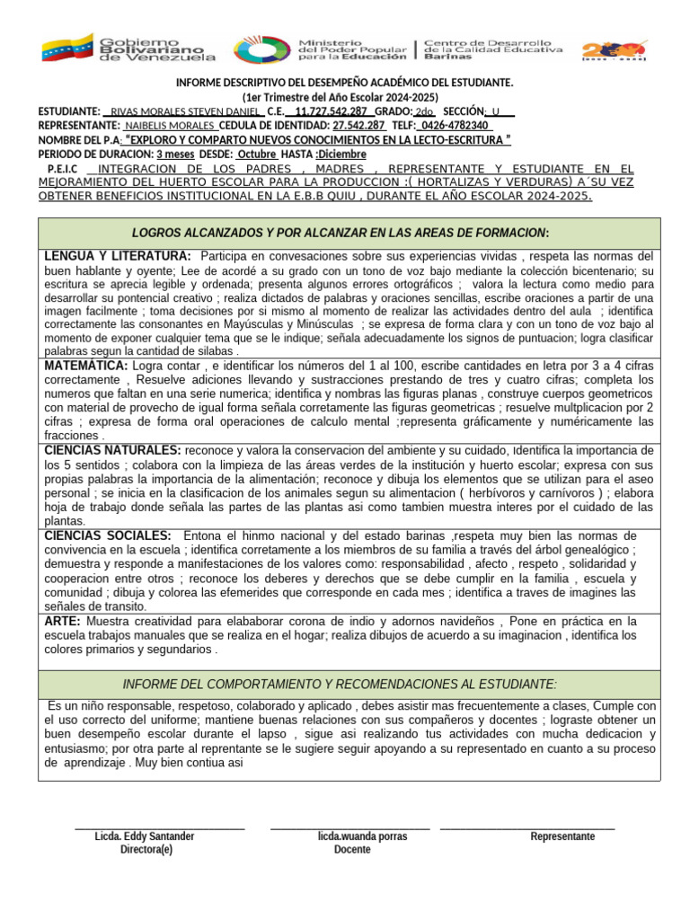 Informe de Desempeño Académico 2024-2025 | PDF