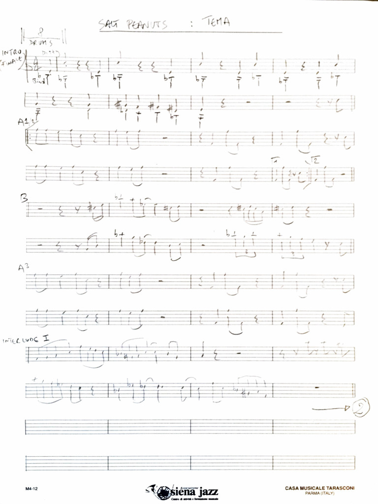 Salt Peanuts - Solo Transcription | PDF