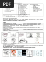Cirurgia de Hartmann: Procedimentos e Cuidados | PDF ...