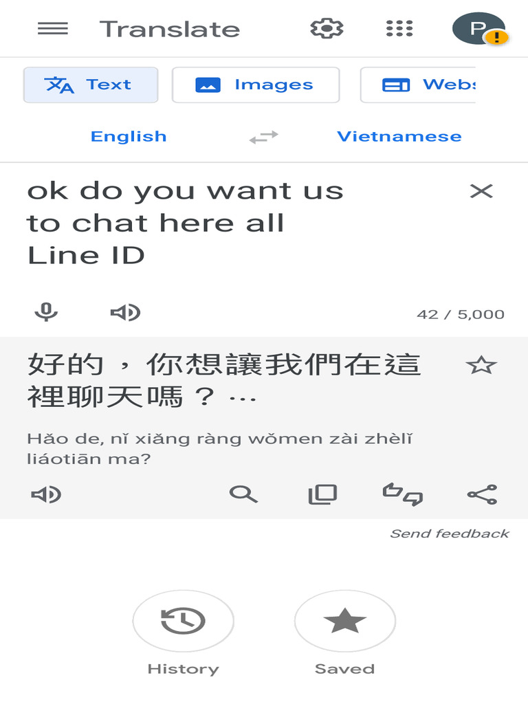 Google Translate | PDF