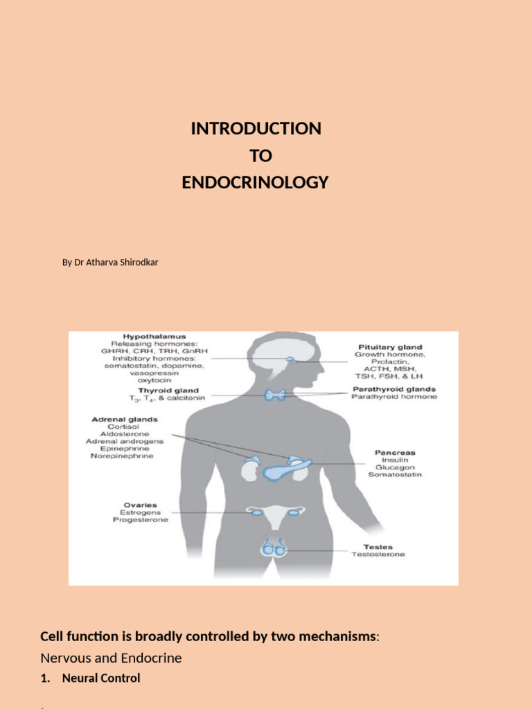 Introduction To Endocrine System | PDF | Endocrine System | Hormone