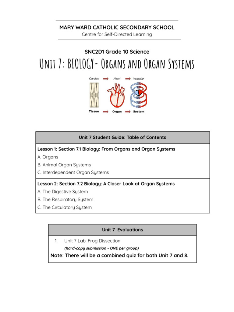 Copy of SNC2D1 Unit 7 Biology - Organs and Organ Systems_Student Guide.pptx | PDF | Respiratory ...
