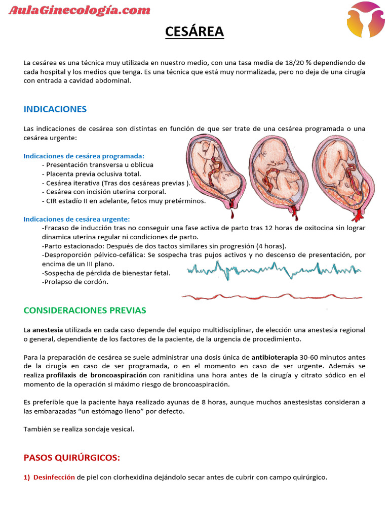 Indicación Y Proceso De Cesárea Pdf Seccion De Cesárea Parto