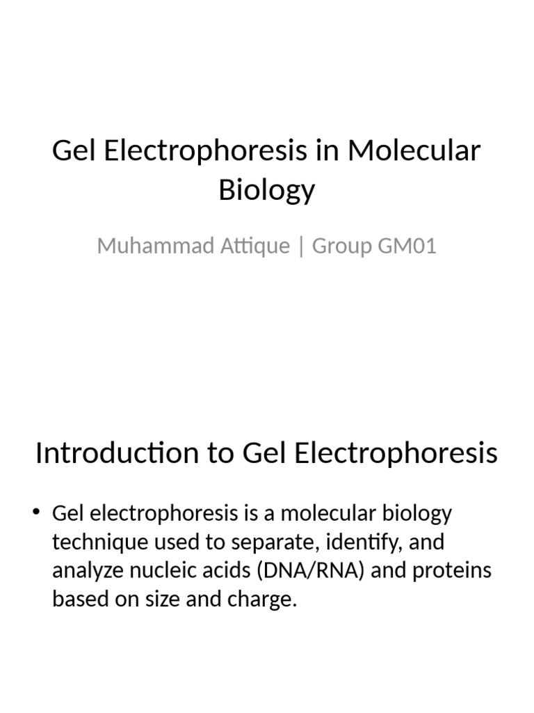 Gel Electrophoresis Molecular Biology Presentation | PDF | Gel ...