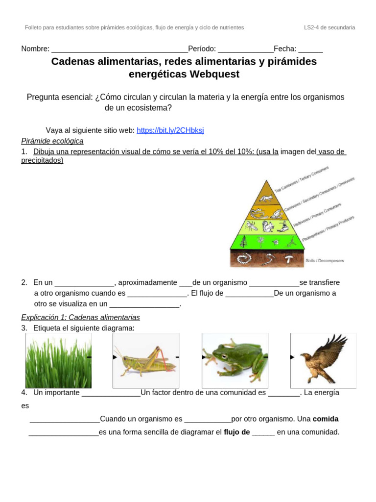 Cadenas Alimentarias, Redes Alimentarias y Pirámides de Energía ...