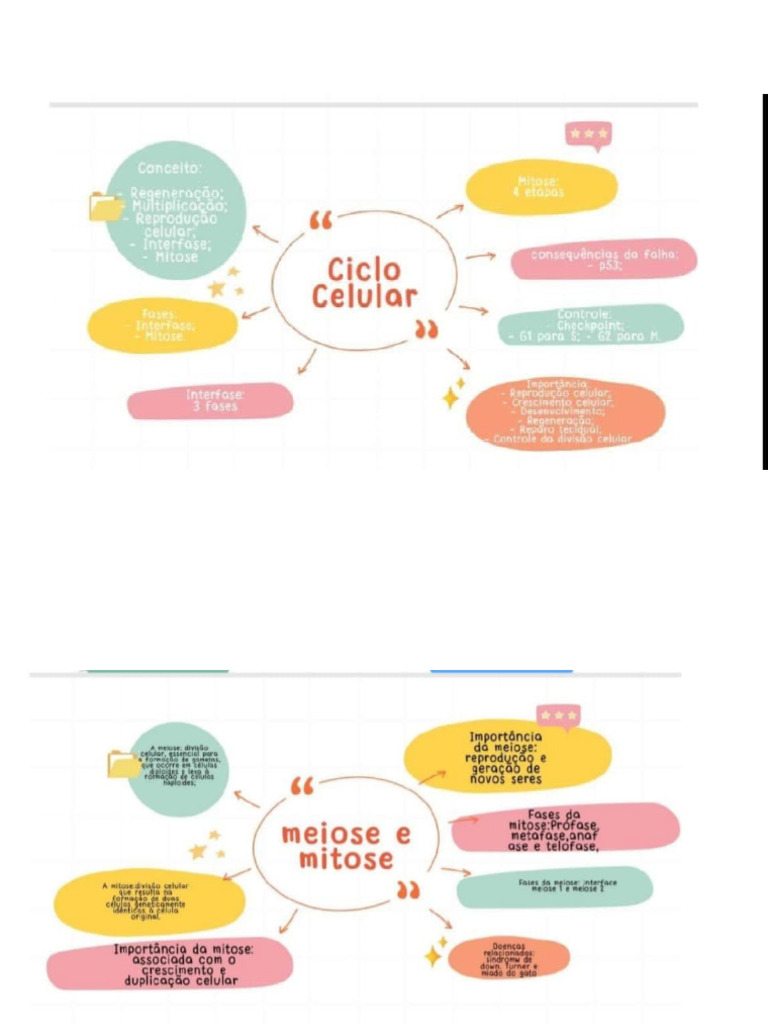 Biocel - Mapas | PDF