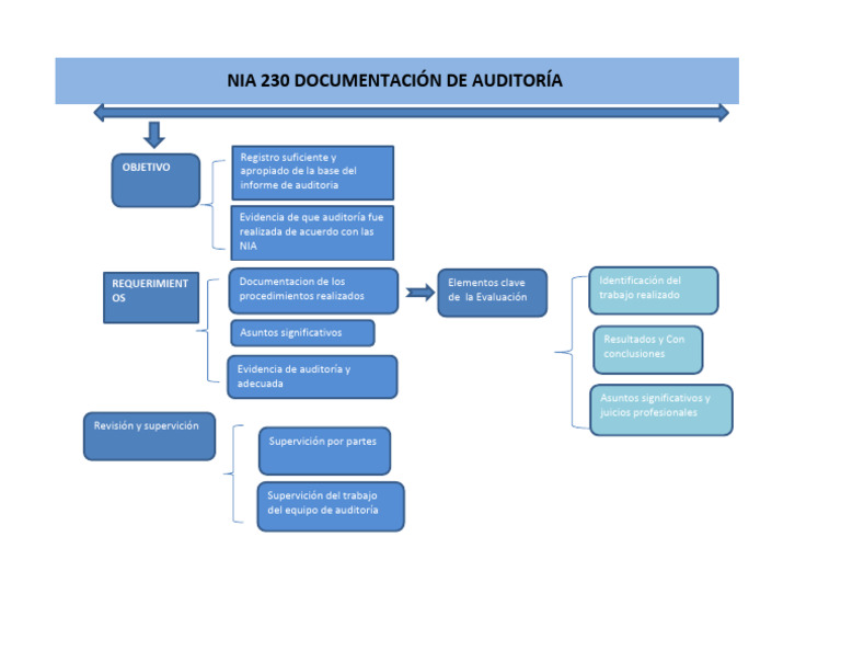 Documentación de Auditoría NIA 230 | PDF