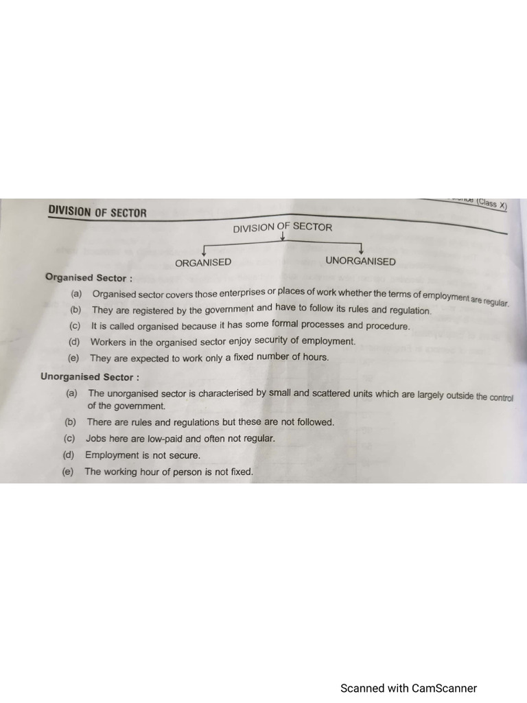 Class 10th Economics Important Questions | PDF