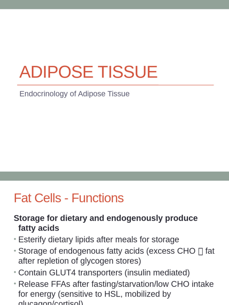 Endocrinology of Adipose Tissue | PDF | Adipose Tissue | Adipocyte