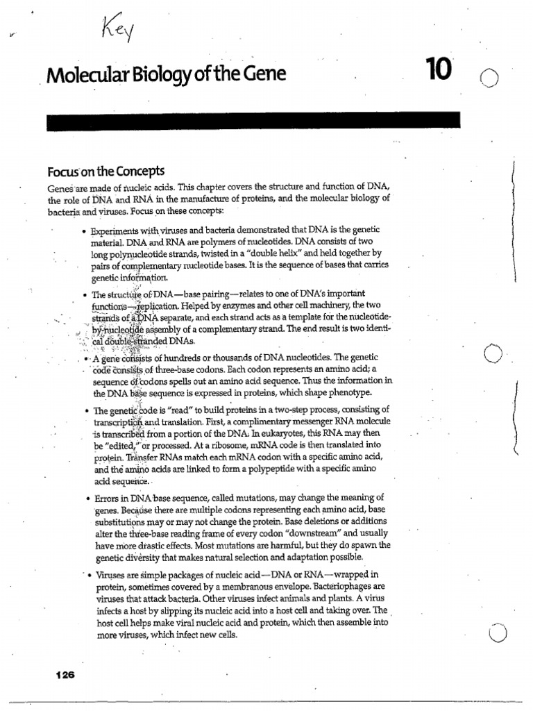 Key Molecular Biologyof The Gene Exercises | PDF