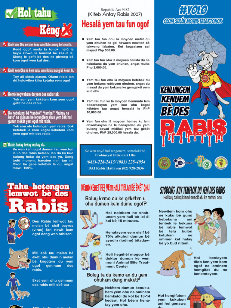 Rabies Awareness Tboli | PDF