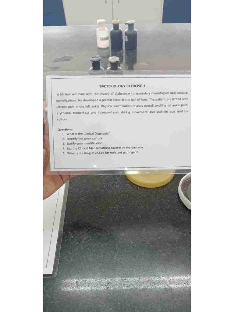 Spotters Micro - Bacteria | PDF