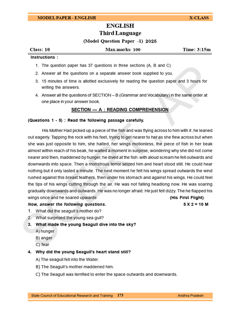 10th-English Papers | PDF | Galileo Galilei | Heliocentrism