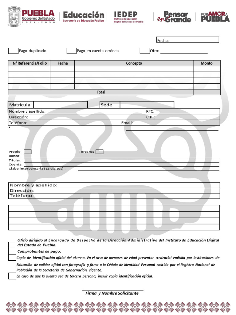 2 Devolución - Formato 2025 | PDF