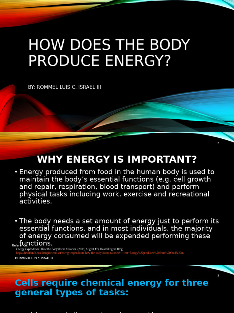How Does The Body Produce Energy | PDF | Cellular Respiration | Diet ...