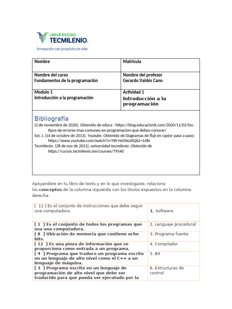 Introduccion A La Programacion | PDF | Programación de computadoras | Programa de computadora