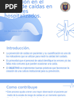Escala de Crichton para Riesgo de Caídas | PDF