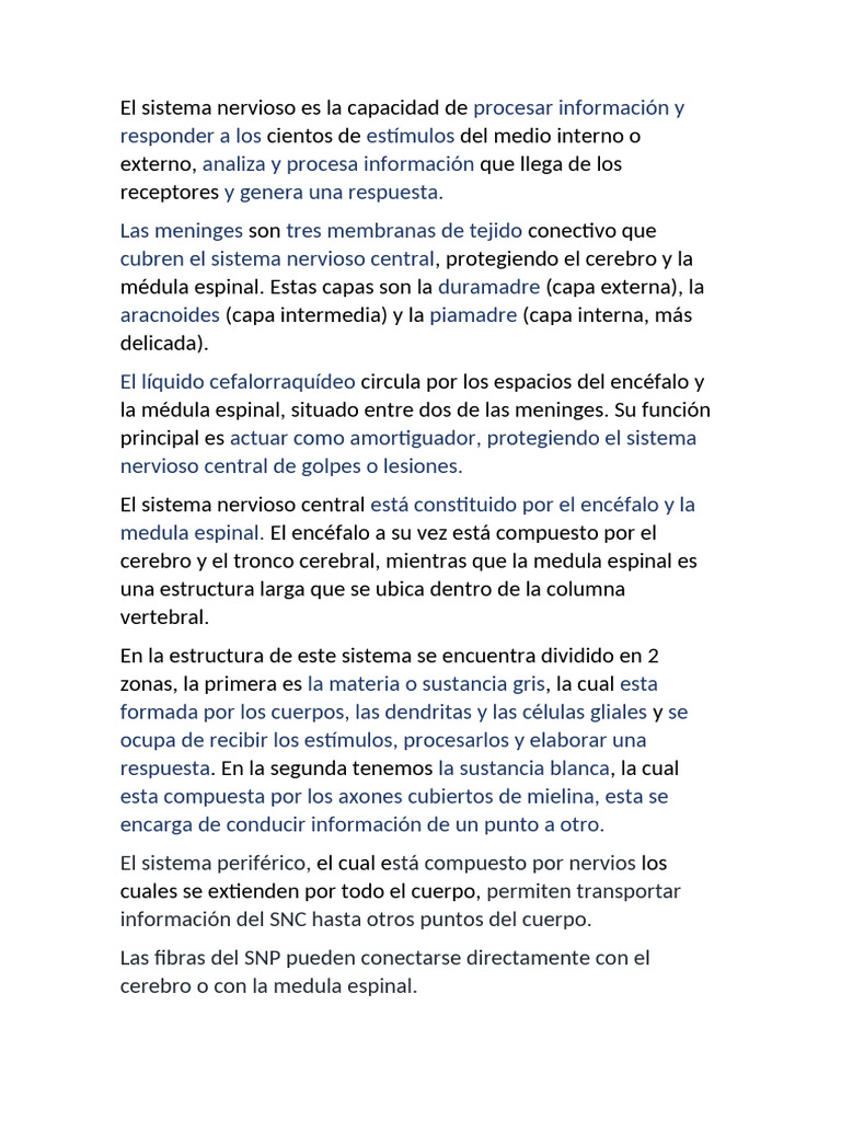 SNC, SNS, Sna, SNP | PDF | Sistema nervioso central | Cerebro