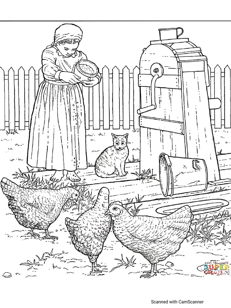 Imagine Colorat | PDF