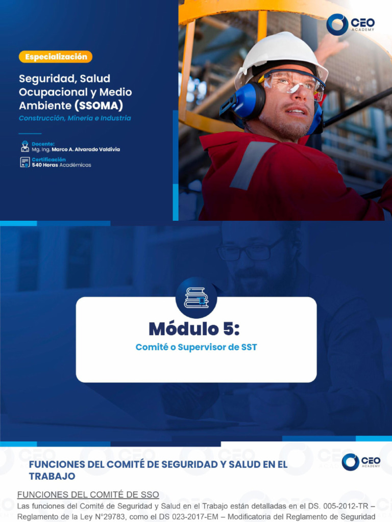 Comité o Supervisor de SST - 2 | PDF
