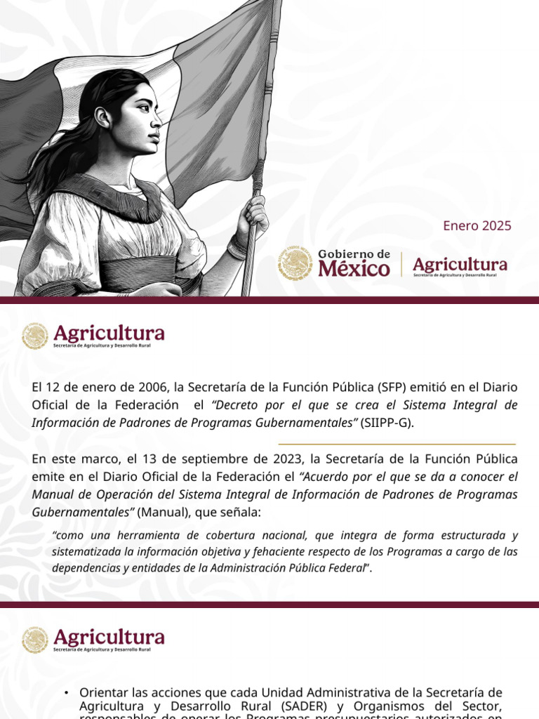 Manual de Operación SIIPP-G 2025 | PDF