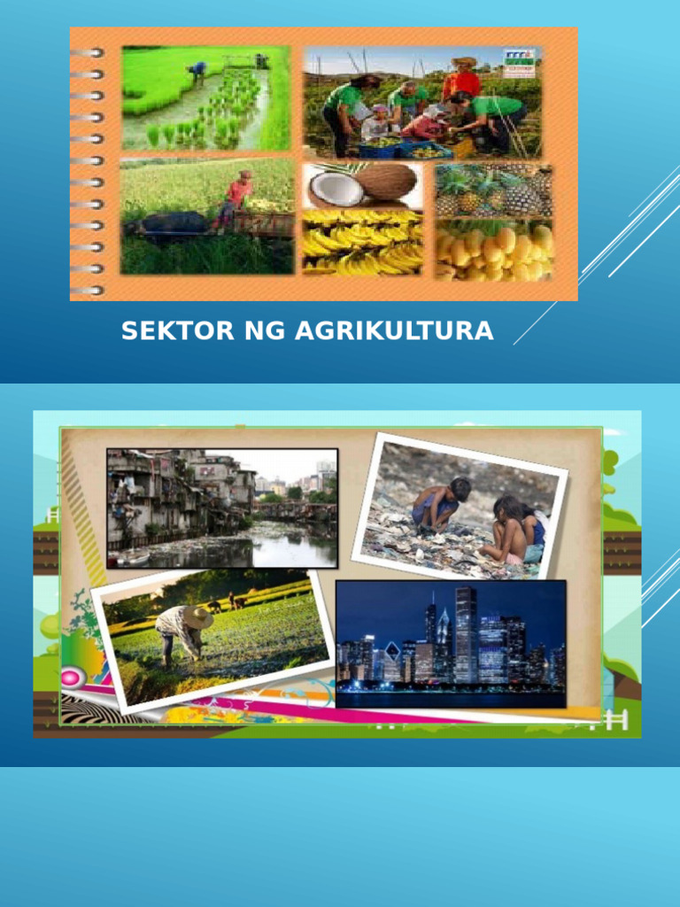Sektor NG Agrikultura | PDF