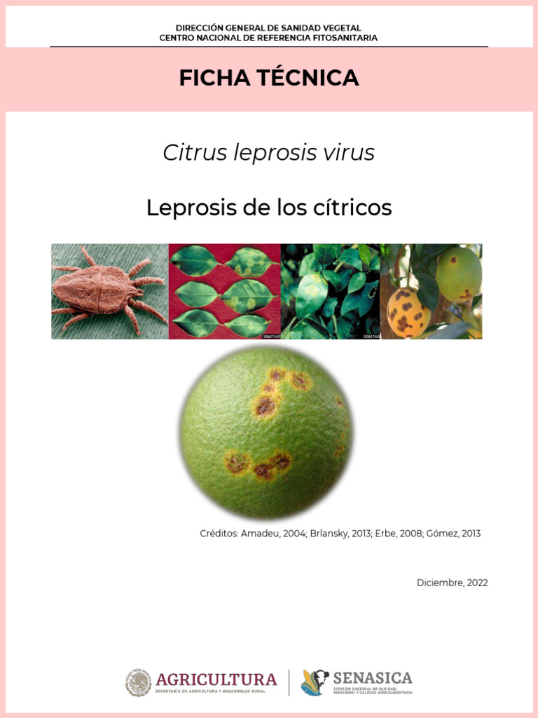 Ficha Técnica sobre el Virus de Leprosis | PDF | Agrios | Naranja)