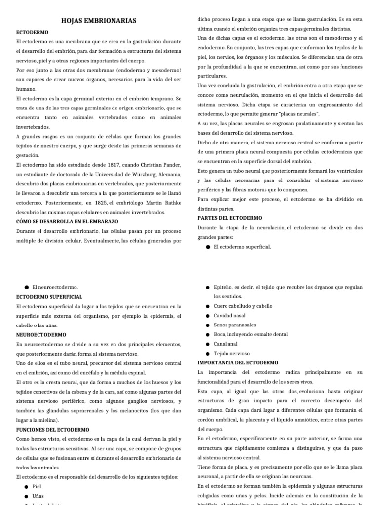 PT5 Hojas Embrionarias | PDF | Embrión | Sistema nervioso
