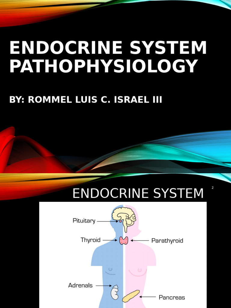 Endocrine System Pathophysiology | PDF | Hypothyroidism | Thyroid