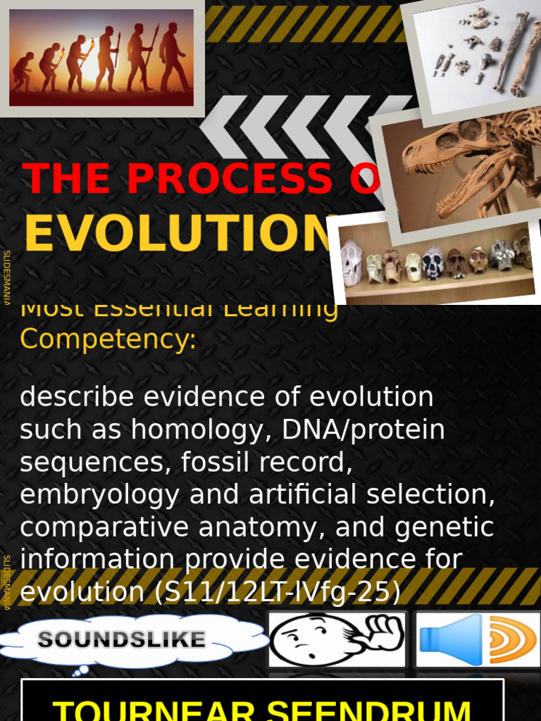 Evolution | PDF | Homology (Biology) | Evolution