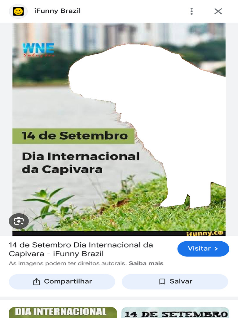 Resultado Da Pesquisa de Imagens Do Google | PDF