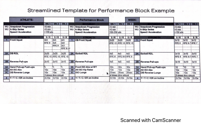 Streamlined Template For Performance Blo | PDF