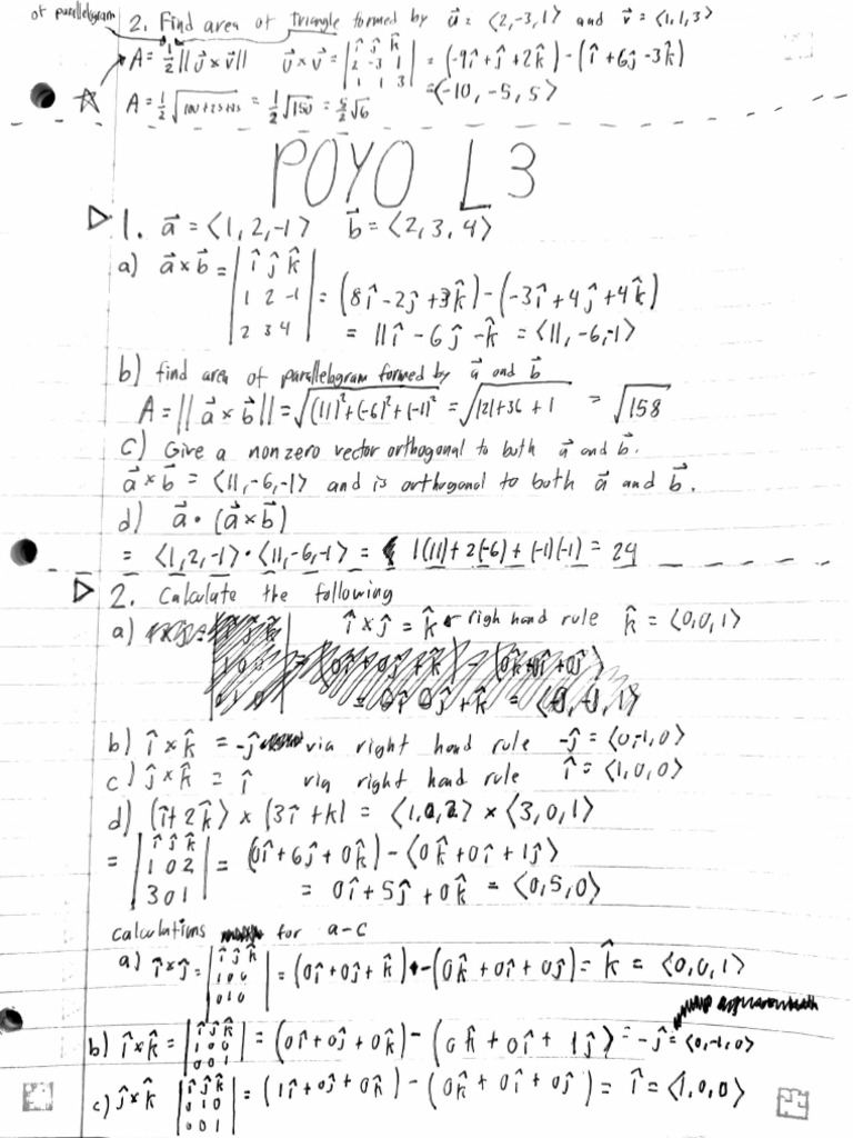 POYO L3 | PDF