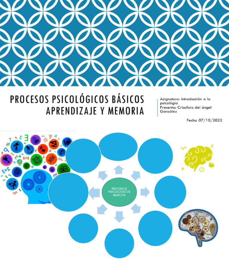 PROCESOS PSICOLOGICOS BASICOS | PDF | Sicología | Aprendizaje