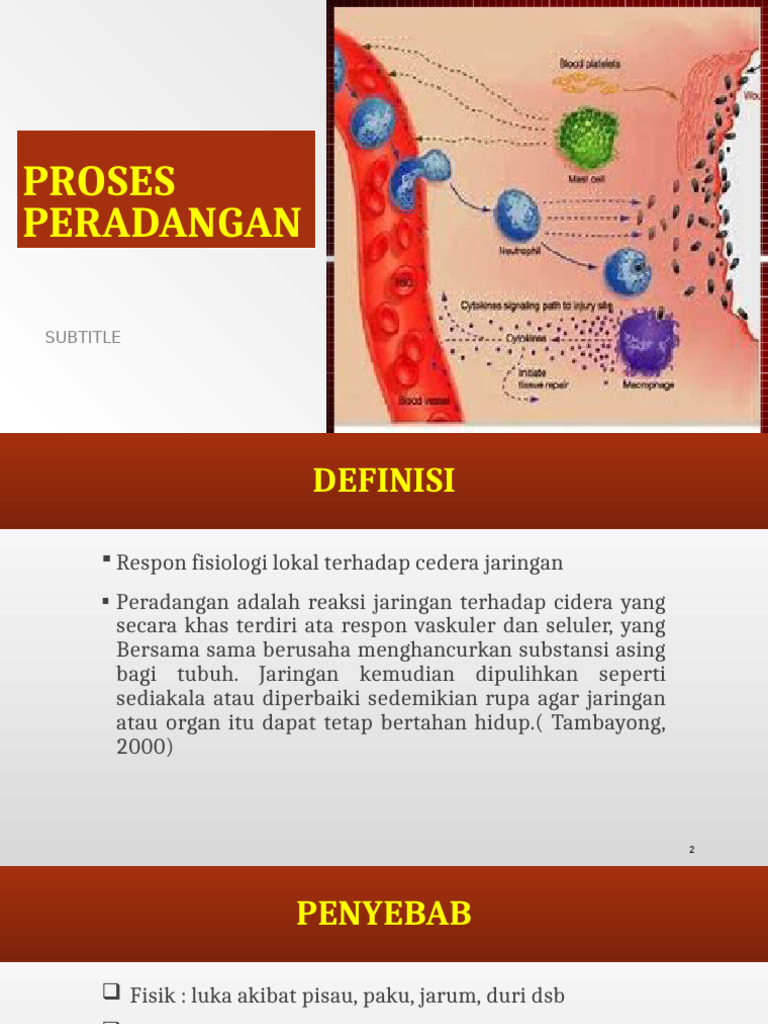 PROSES PERADANGAN | PDF