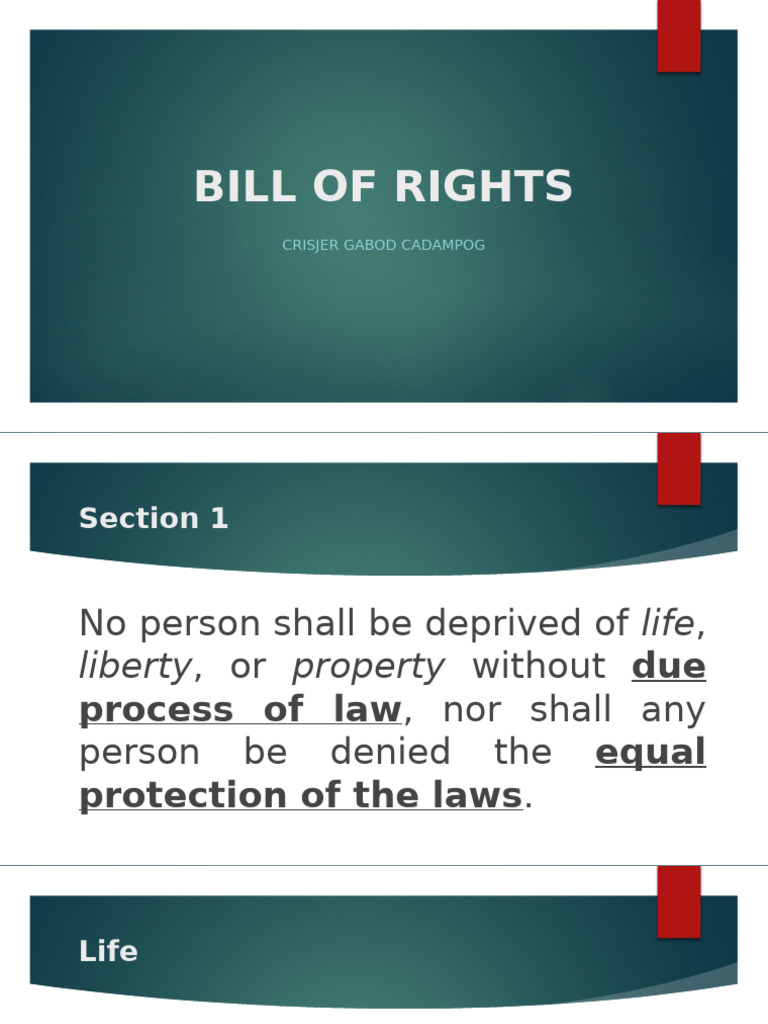 Understanding Due Process Rights | PDF | Due Process | Substantive Due ...
