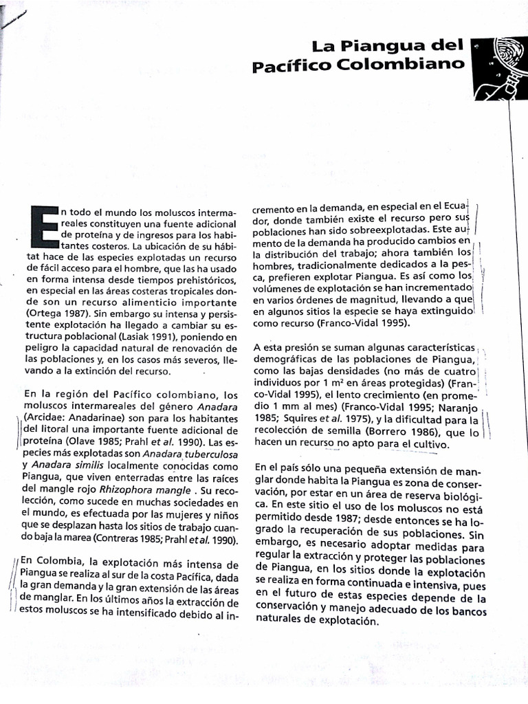 La Piangua Del Pacifico Colombiano | PDF