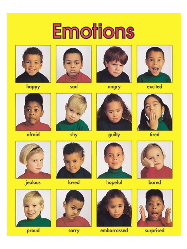 EMotions | PDF