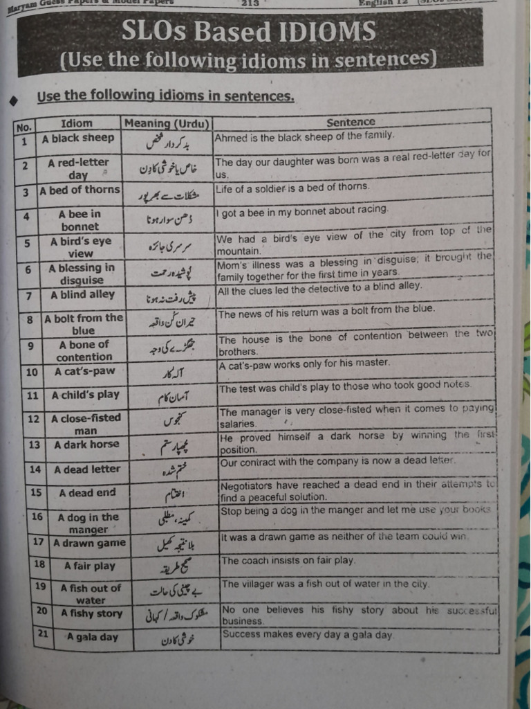 Idioms and Phrasal Verbs | PDF