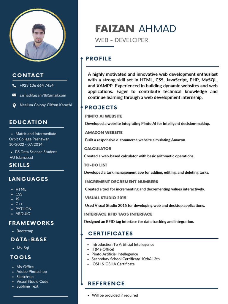 Faizan Developer | PDF | Web Development | Computing