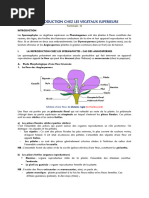 Le Carpelle : Organe des Angiospermes | PDF | Fruit | Embryon