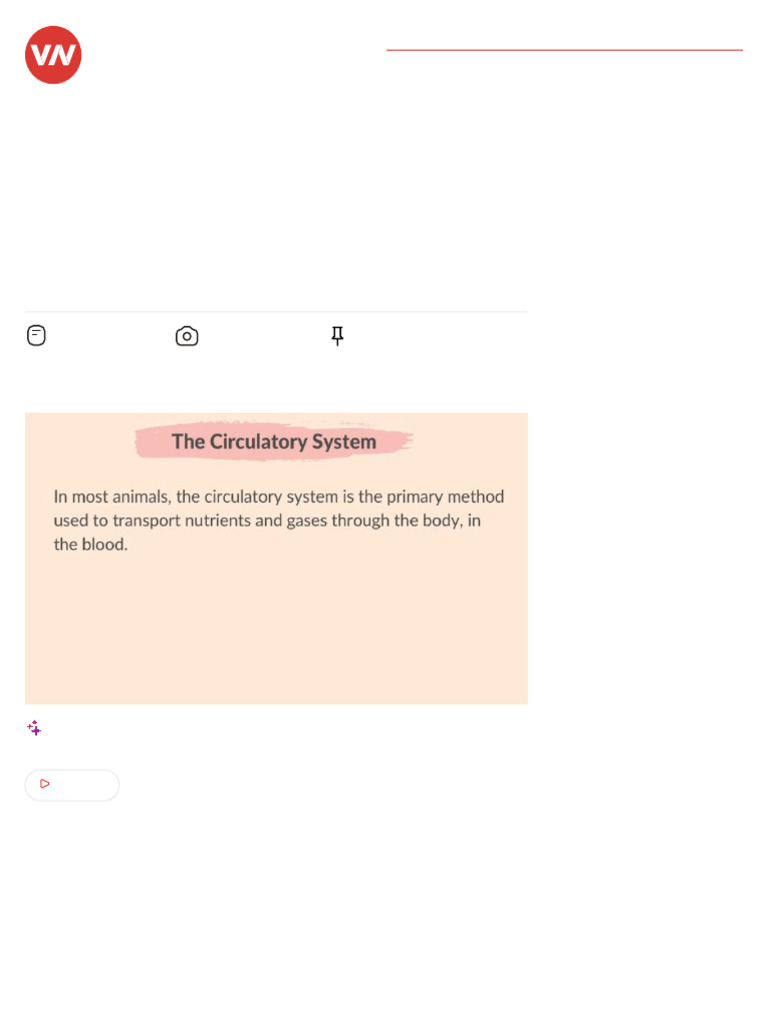 Transport in Animals Part 1 Cambridge IGCSE Biology 0610 For Exams in ...