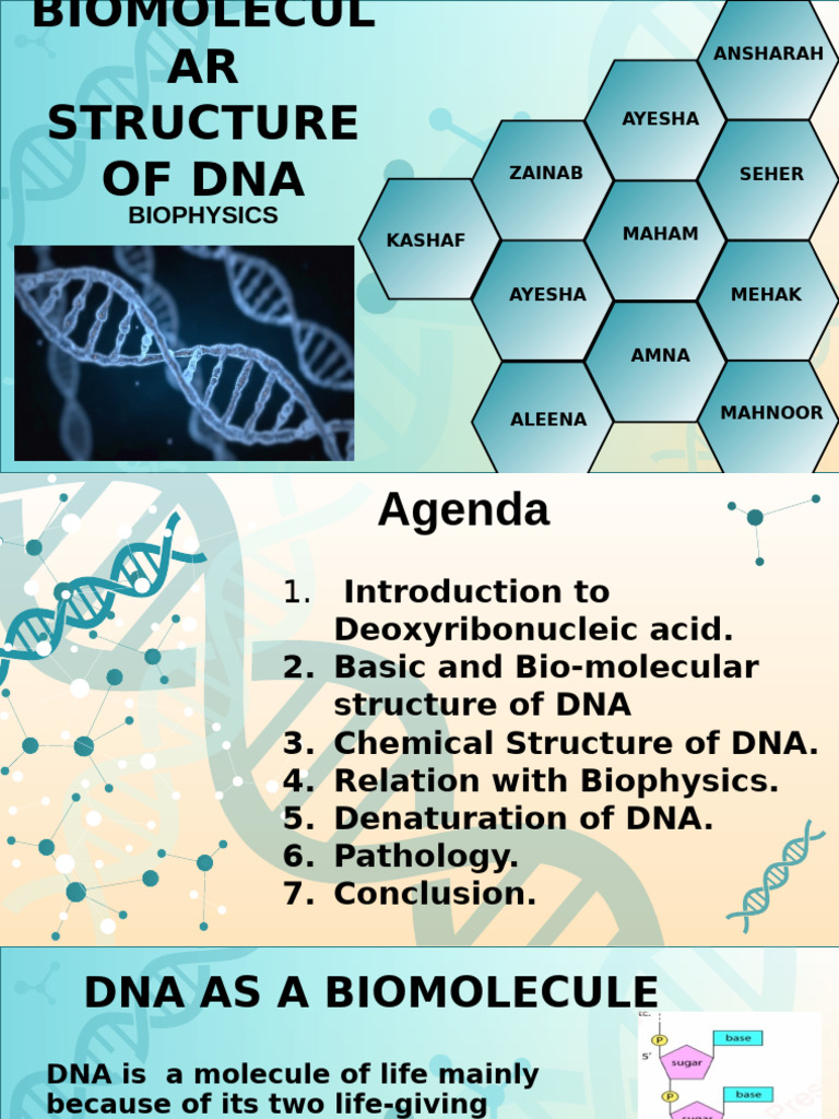 Biomolecualr Structure of Dna (1) | PDF | Dna | Nucleic Acid Sequence