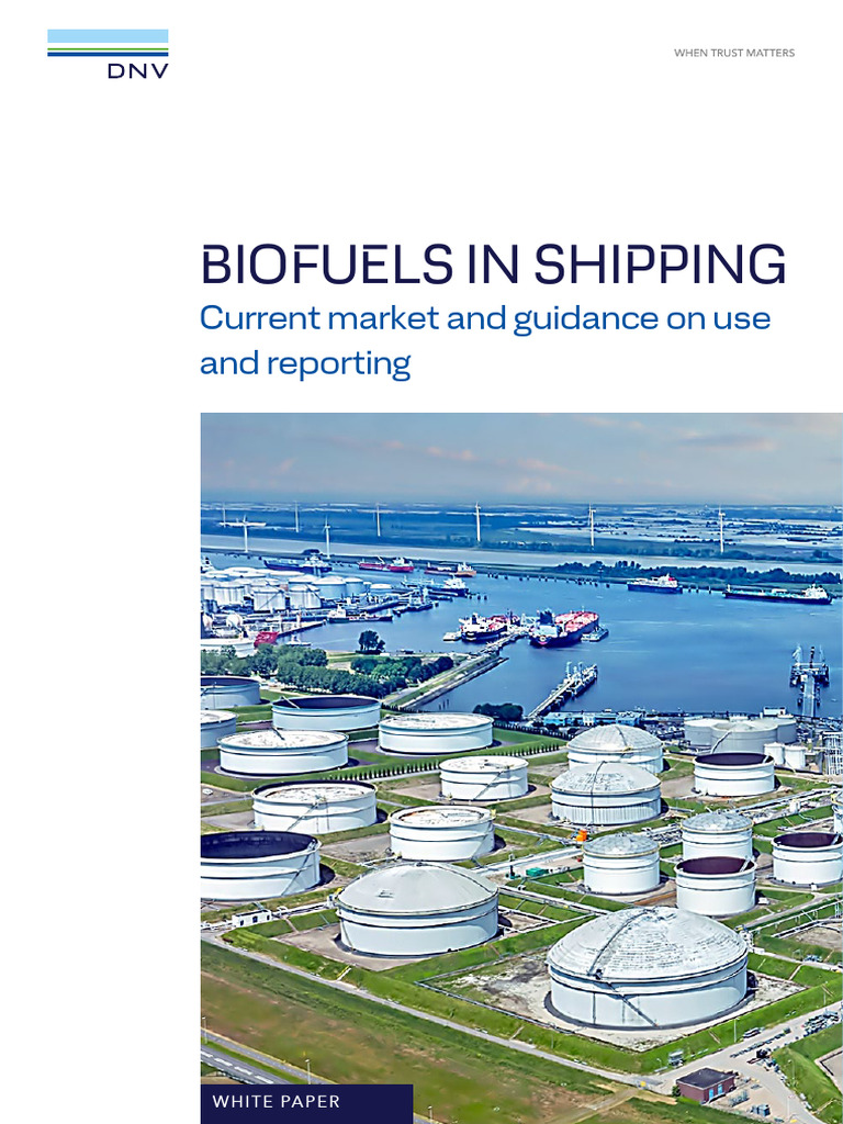 Biofuel Whitepaper 2025 | PDF | Biofuel | Biodiesel