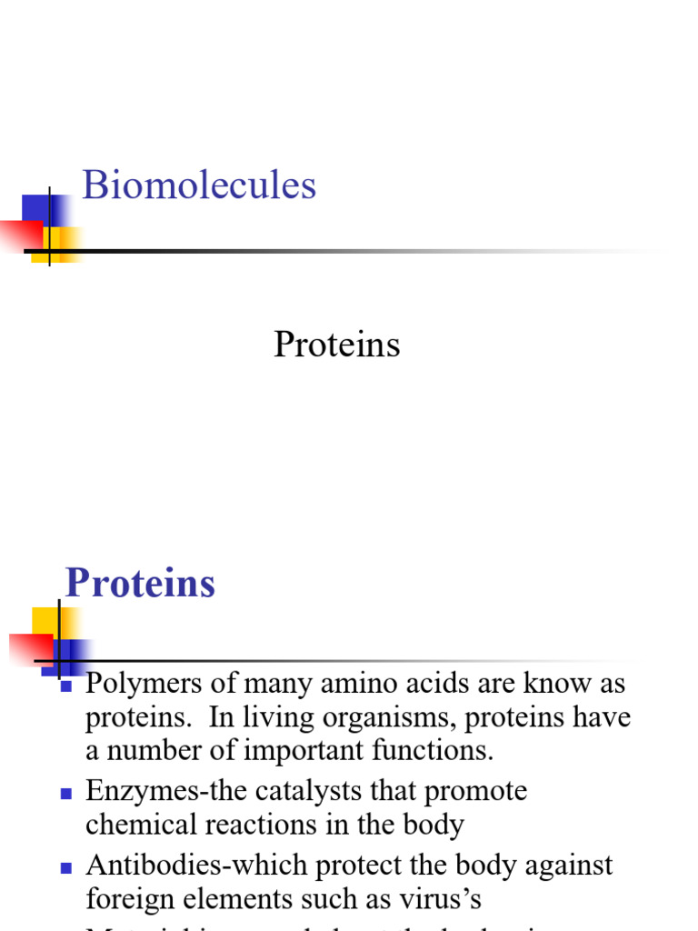 Biochemistry of Protein Structures | PDF | Beta Sheet | Protein Structure