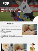 Protocolo Lca | PDF | Joelho | Membros (anatomia)