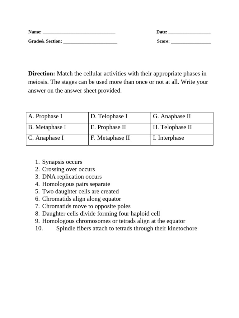 ACTIVITY SHEET-MEIOSIS | PDF