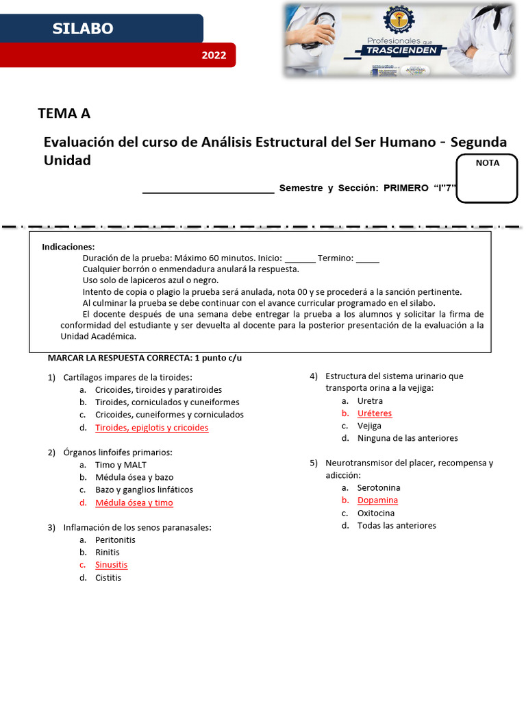 Examen Anatomía Yulisa Quispe Ccoa | PDF | Páncreas | Sistema linfático